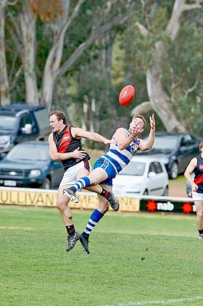 WBFL: Cats secure finals berth - The Border Watch